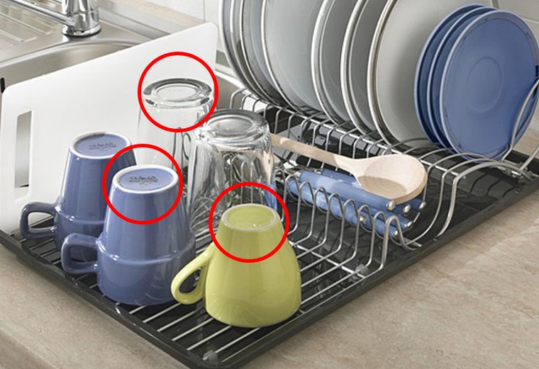 Reliz, ¿qué es y para que sirve?