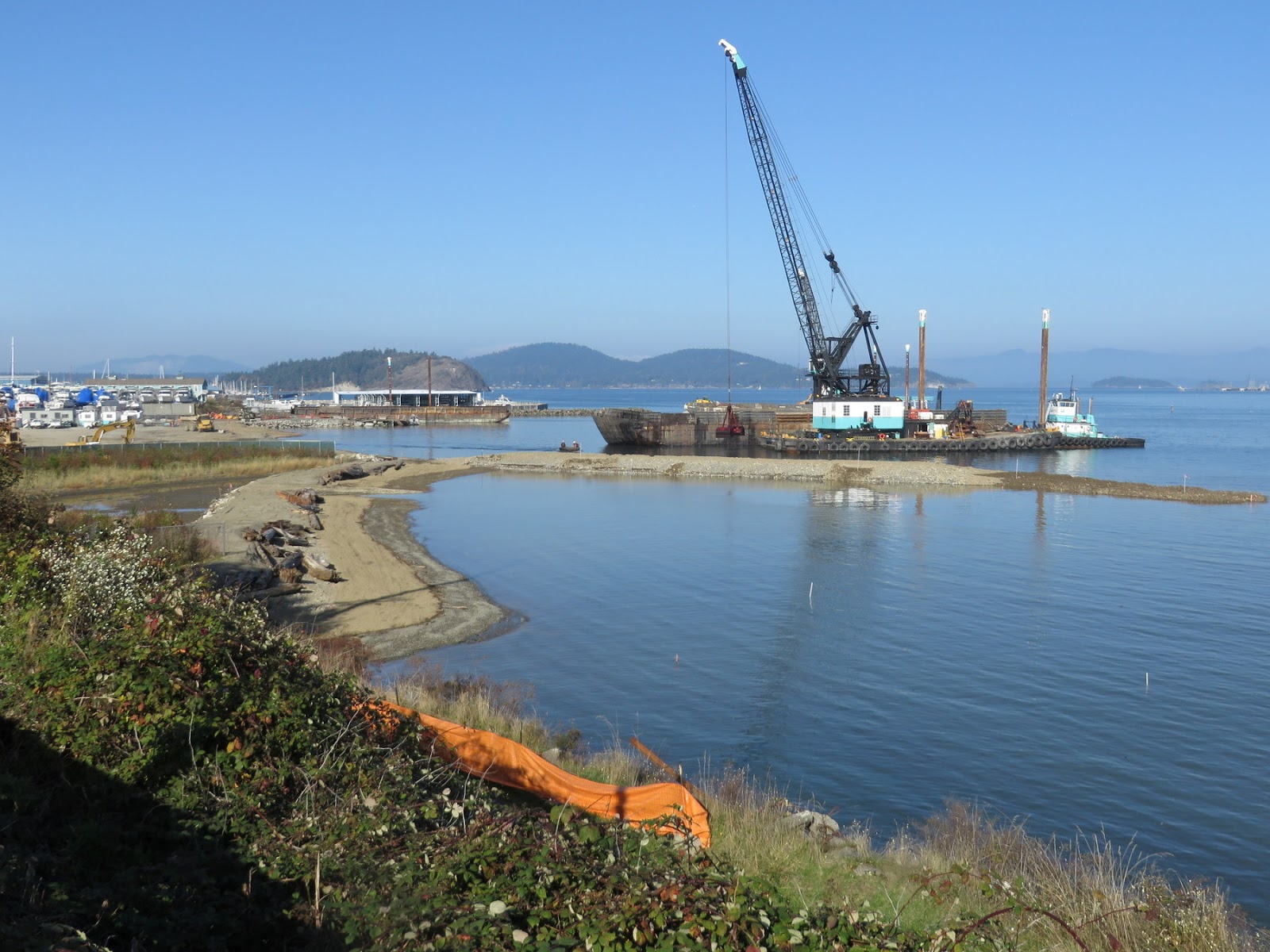 Gravel Beach: Anacortes
