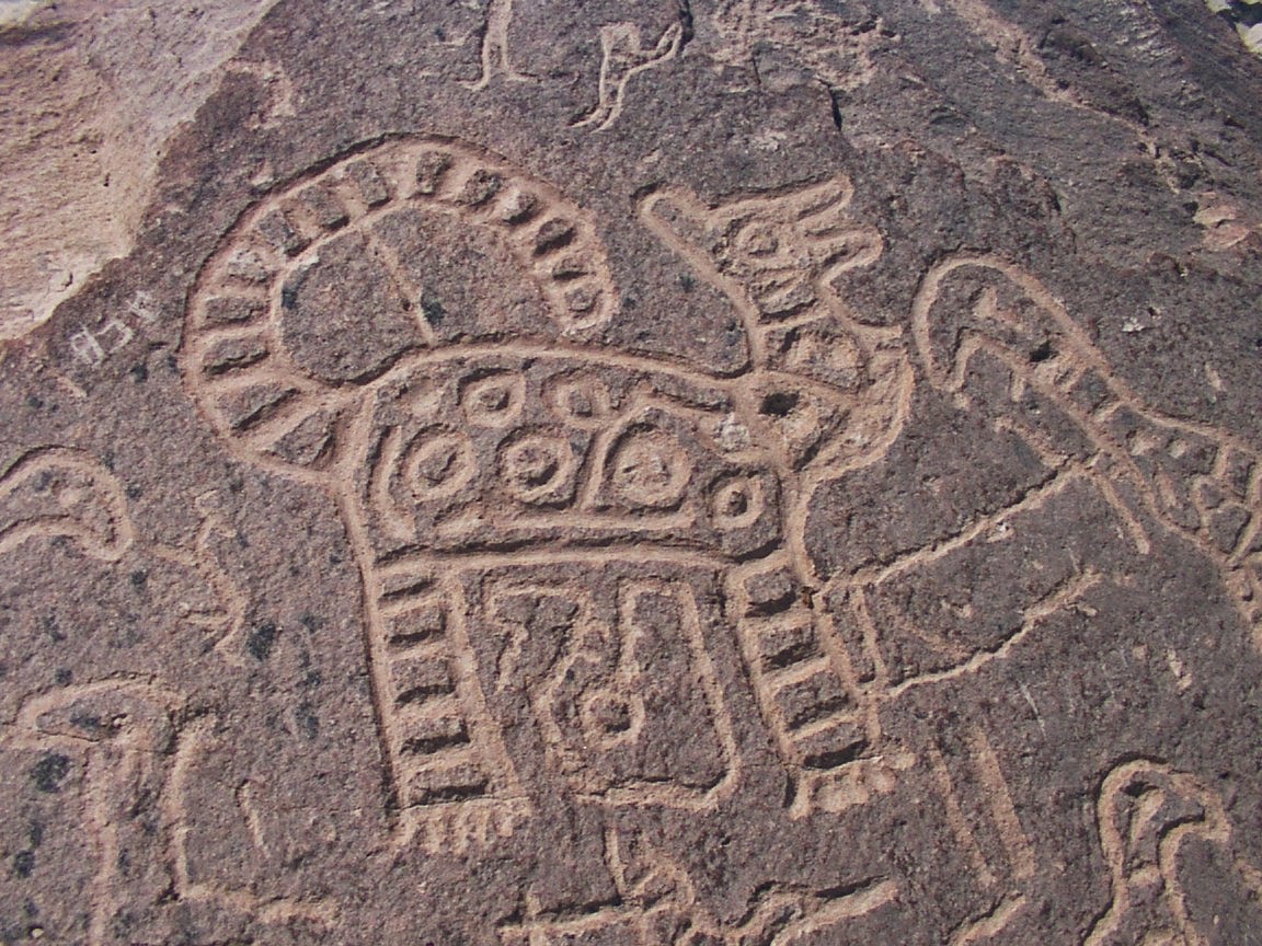 TRAVEL AND TOUR (viajes y turismo): TORO MUERTO