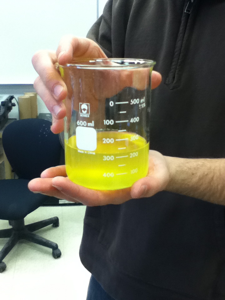 19th Century Photographic Processes: Albumen