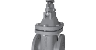 Jual Gate Valve Tozen :: Valve Solution