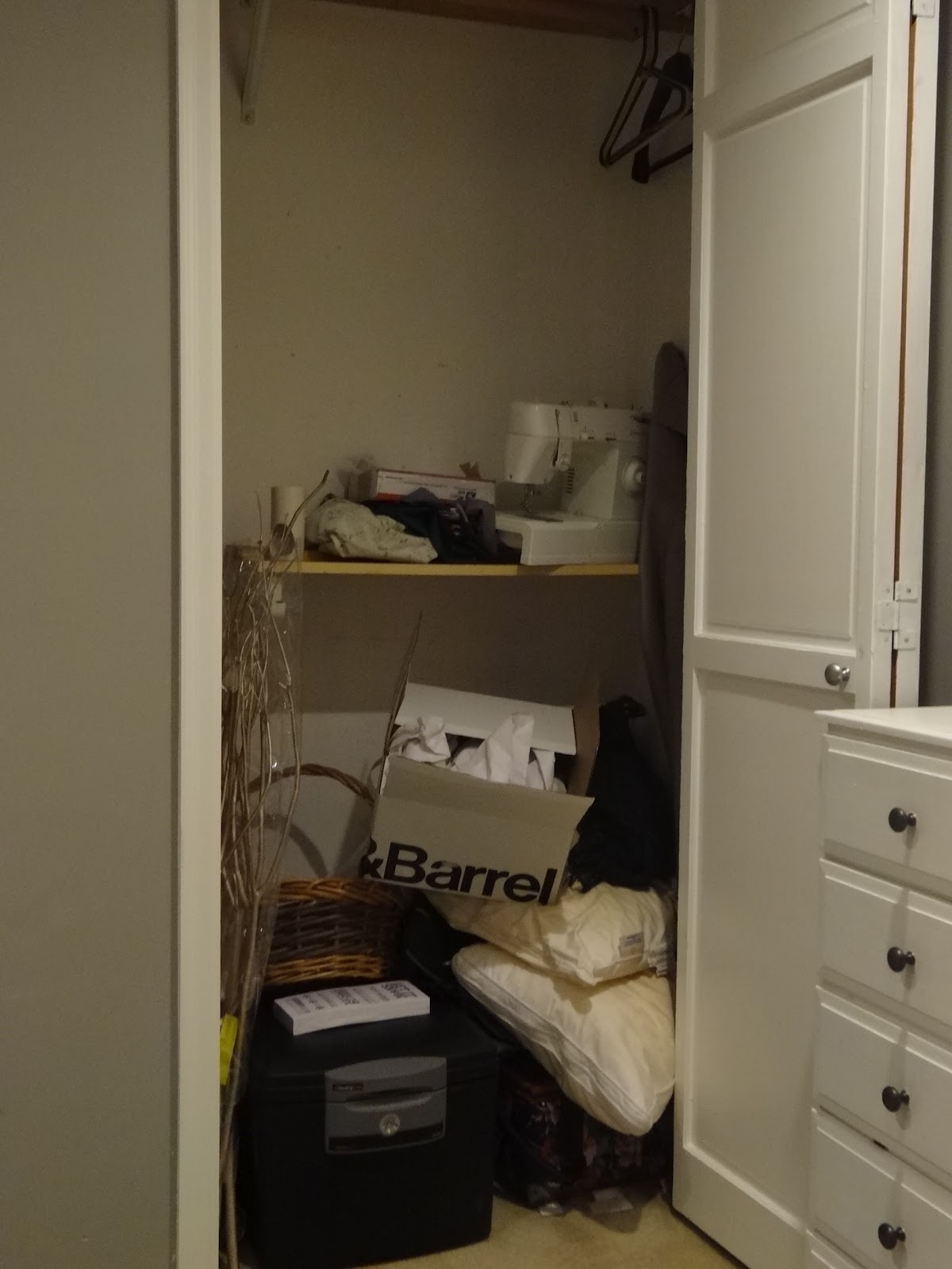 One Project at a Time - DIY Blog: Disaster Closet #5