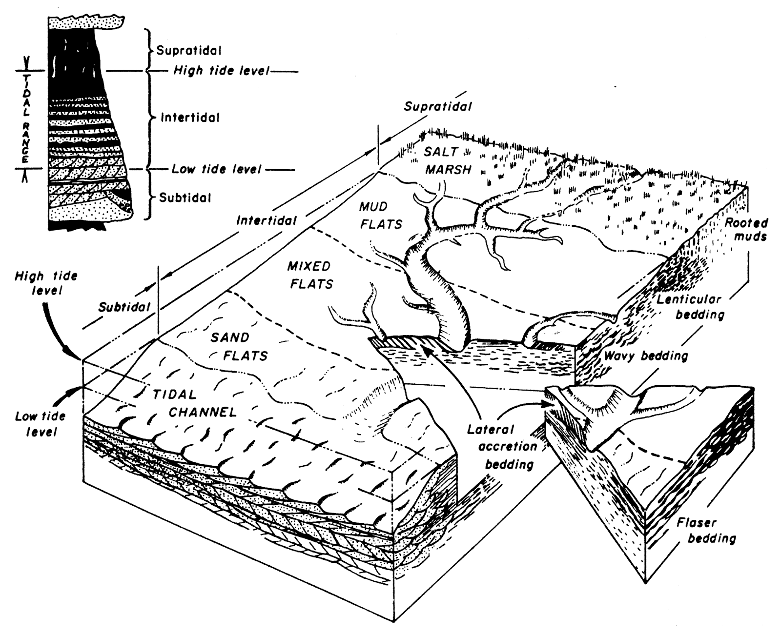 Geology and Geological Mindset Share: Lingkungan Pengendapan
