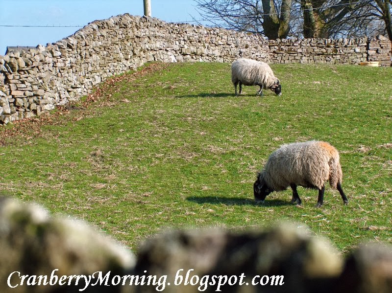 Cranberry Morning: Yorkshire Stone, Anglophile Friday