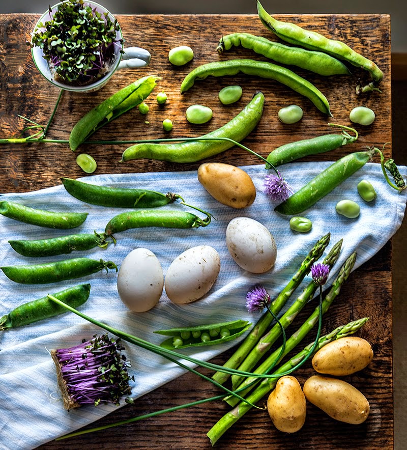 Spring Greens - A Salad to Celebrate the Season - WILD GREENS & SARDINES