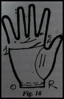 Bracelet Lines ( Manibandh Rekha ) Palmistry ~ INDIAN PALMISTRY | PALM ...