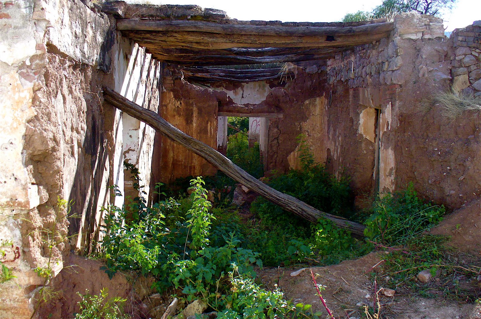 Alt. Build Blog: Adobes In Ruins In Alamos, Sonora