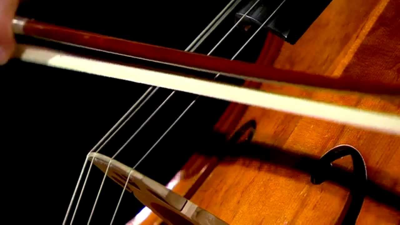 Aprende Violonchelo : El Violonchelo