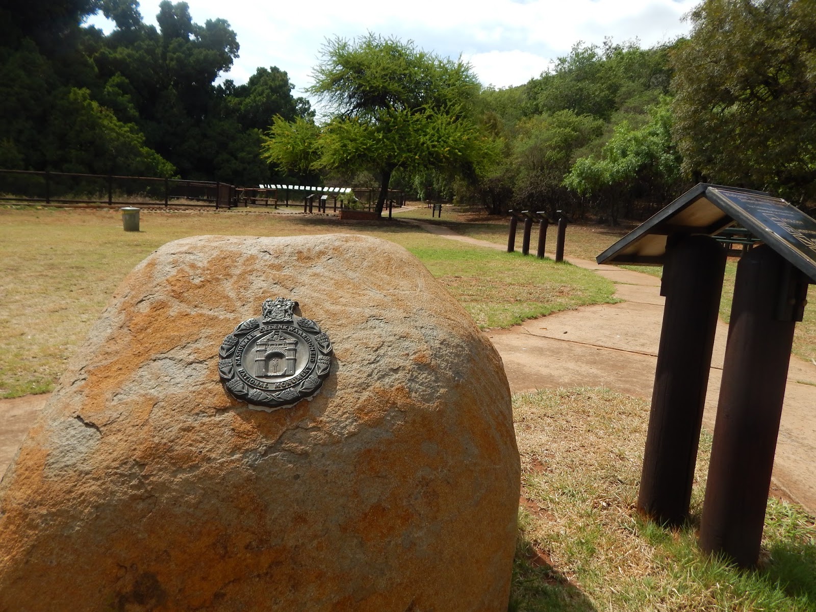 Urban Adventures: 1000 year old fig tree -Wonderboom Nature Reserve ...