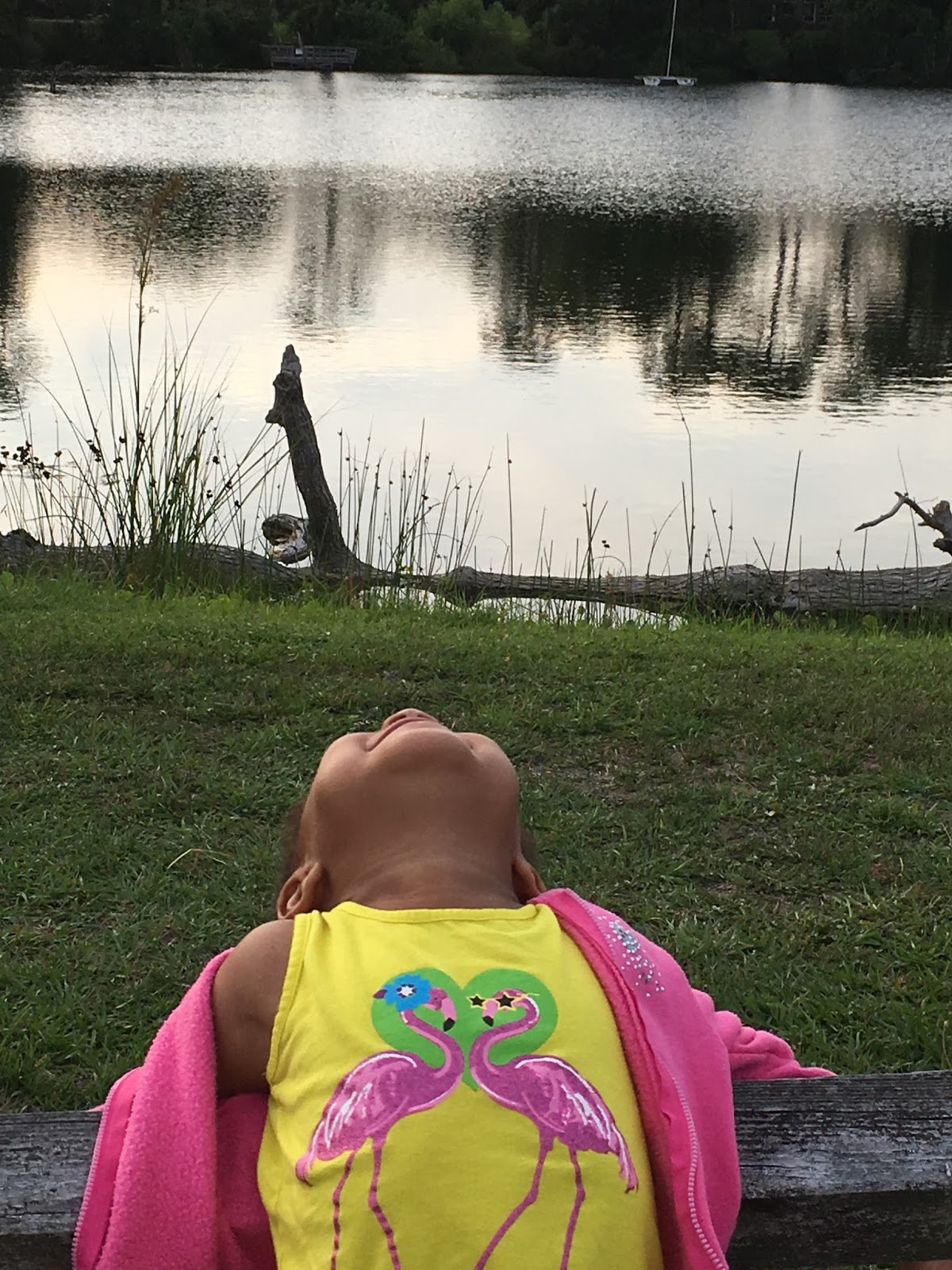 Keeping up with Cacy: Cacy's 2017 Year Review (2Q)