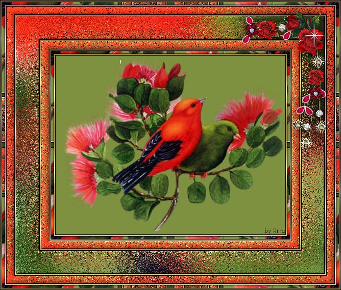 Renys Tutoriale: Clematis