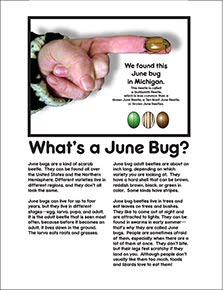 Kidpeople Classroom: Spring Hedgehog Freebie and More