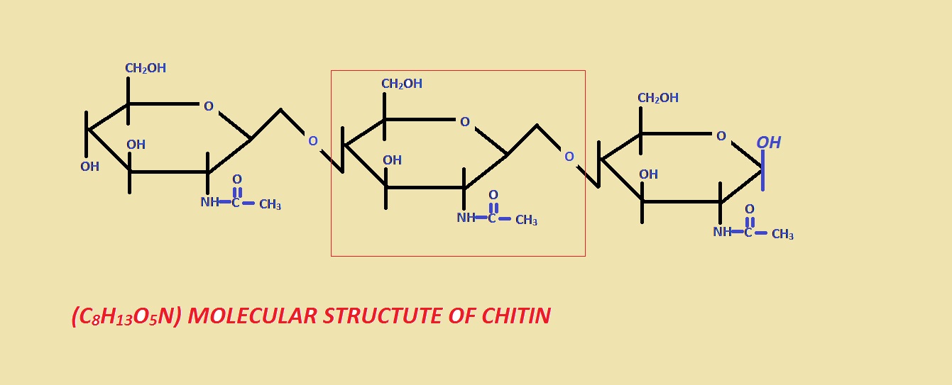 Shelford Tutorials: the integuments of insect: generalised study (PART ...