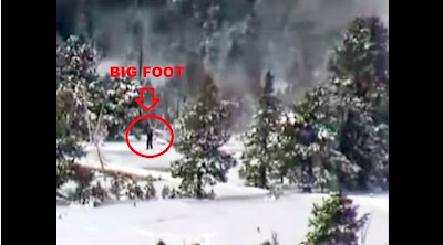 Viral Video: Is This The Best Evidence That "Big Foot" Do Really Exist?
