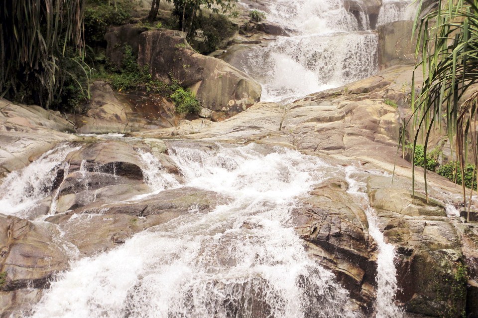 Hello Buu: The Beauty of Nature: Lata Mengkuang