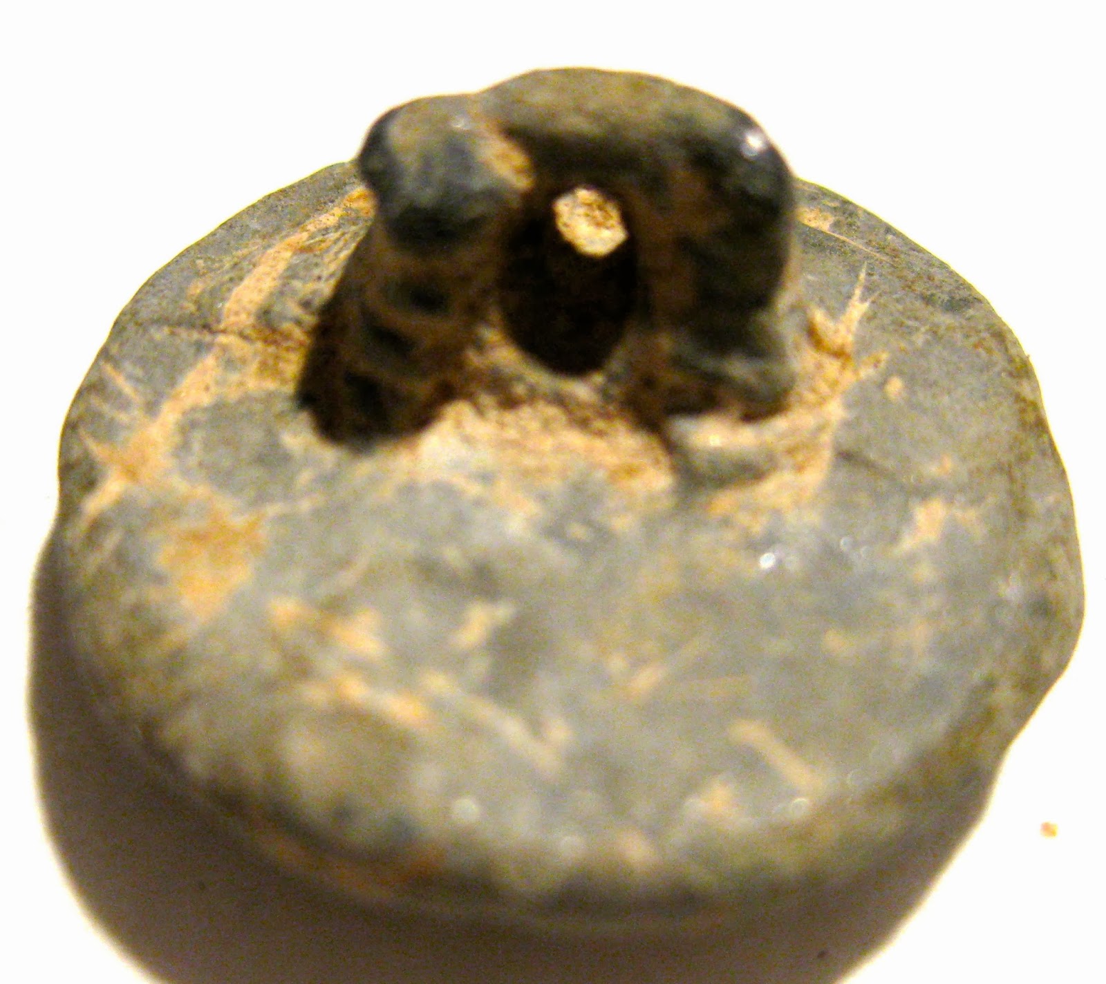 Vicksburg's Treasures (a treasure-hunter's adventures): MY FAVORITE DUG ...