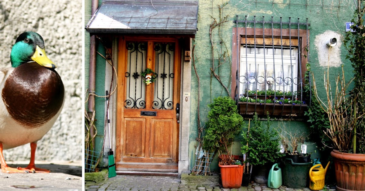 The Colors of Spring in Germany