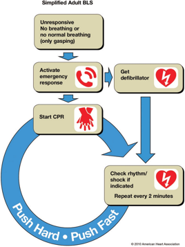 CardiAction Detroit: American Heart Association 2010 ACLS Guidelines