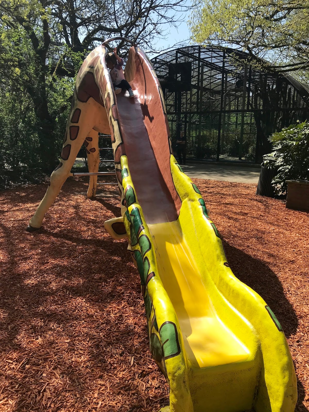 A Day Trip to Amsterdam Artis Royal Zoo - Amy's Balancing Act