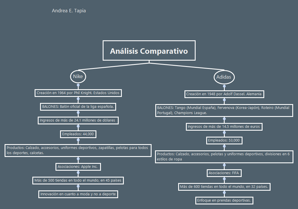 Andrea E. Tapia Avila: Análisis Comparativo