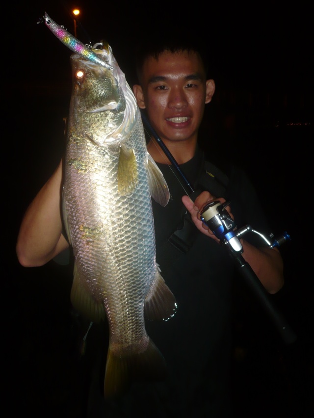 Ima Singapore: Our catches on Ima Sasuke 120裂波