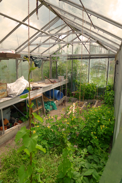 huis-tuin-en-keuken: C: De moestuin groeit maar door..