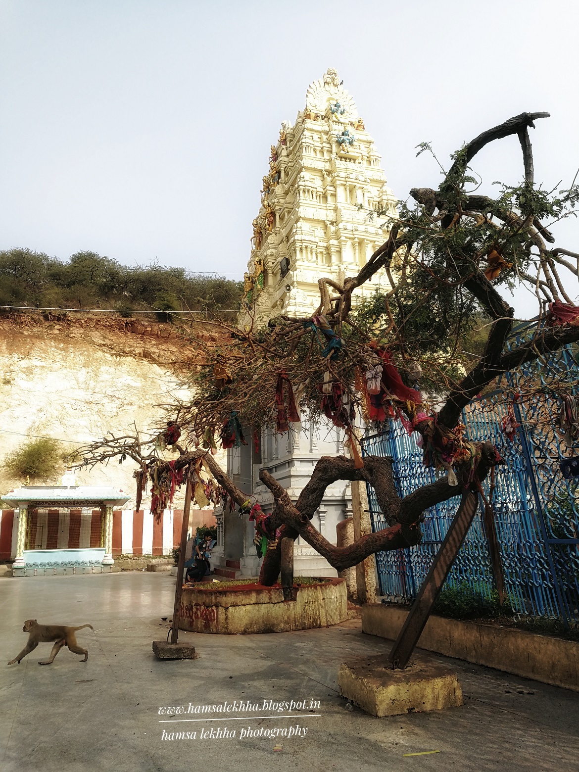 Hamsa Lekhha Travel diaries: Vedadri,Garudachalam - Lord Narasimha ...