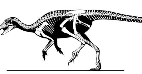 Variety of Life: Genasauria