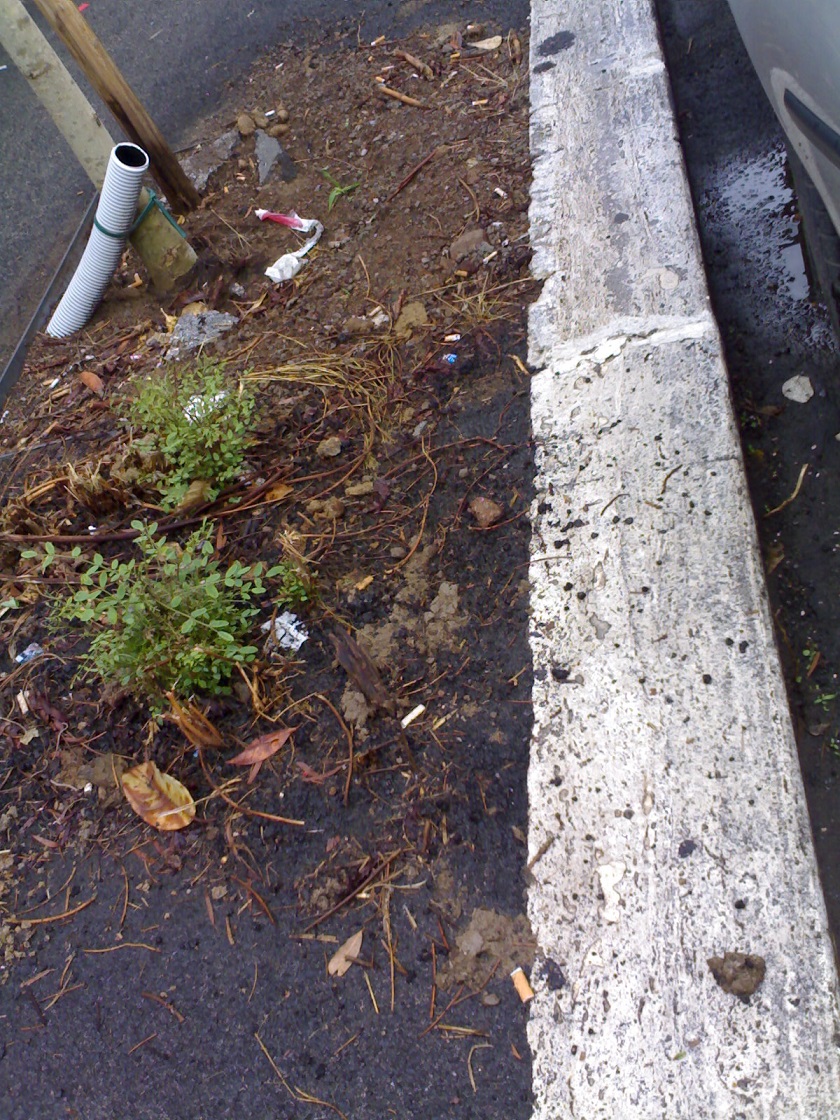 ROMA FA SCHIFO: Il quartiere Appio Latino potrebbe essere un posto ...