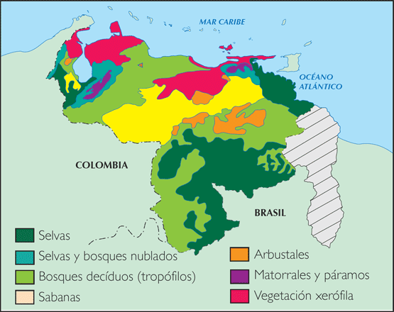 Climas Venezolanos: Climas Venezolanos
