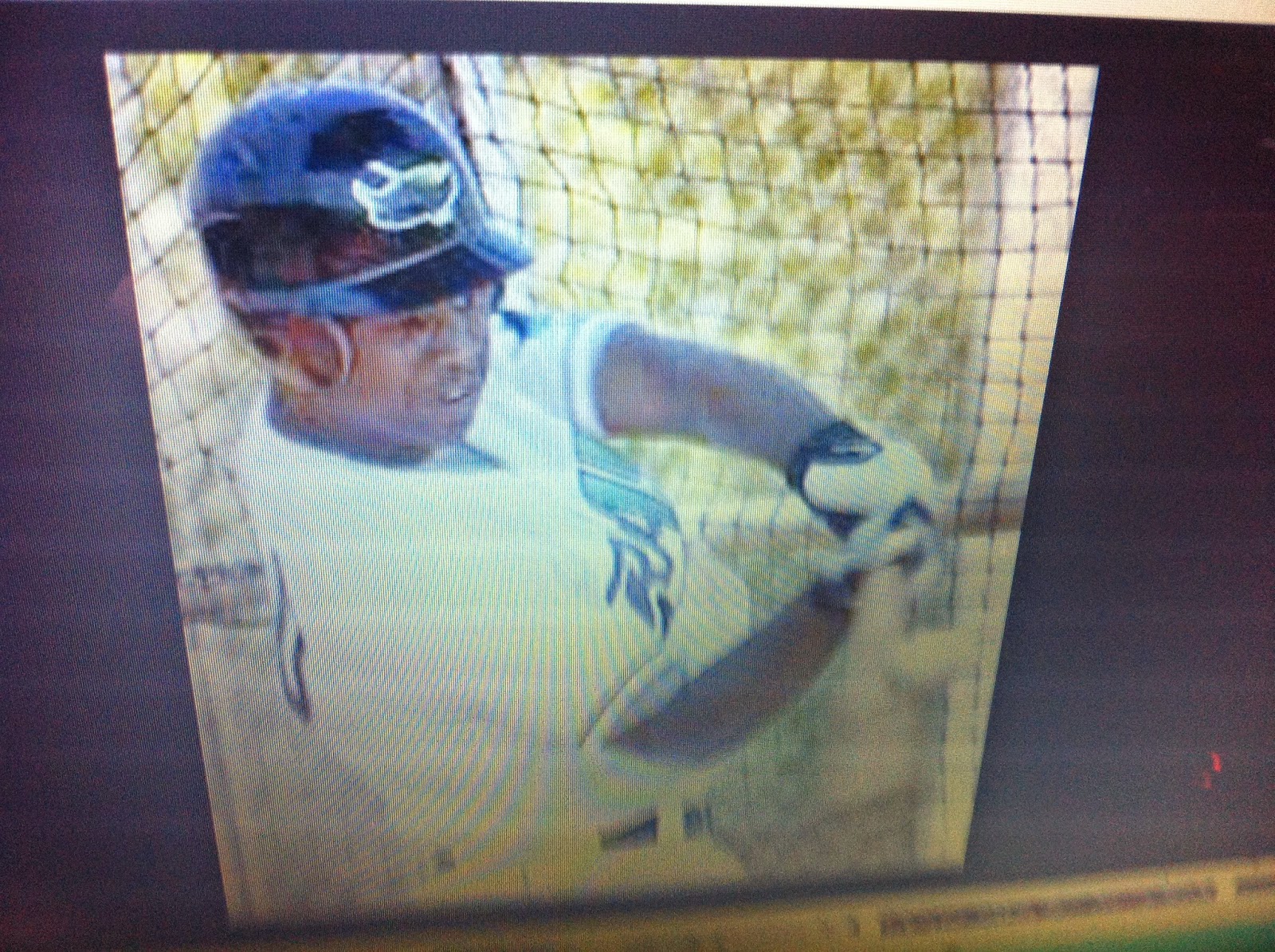 THE BLACK SOCIAL HISTORY:: BLACK SOCIAL HISTORY : AFRICAN AMERICAN ...