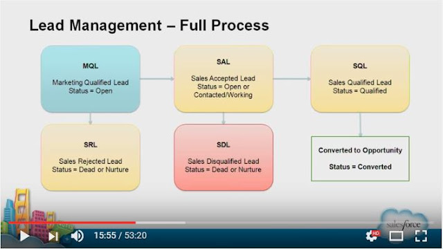 Salesforce Technical Hub: Lead Management Process