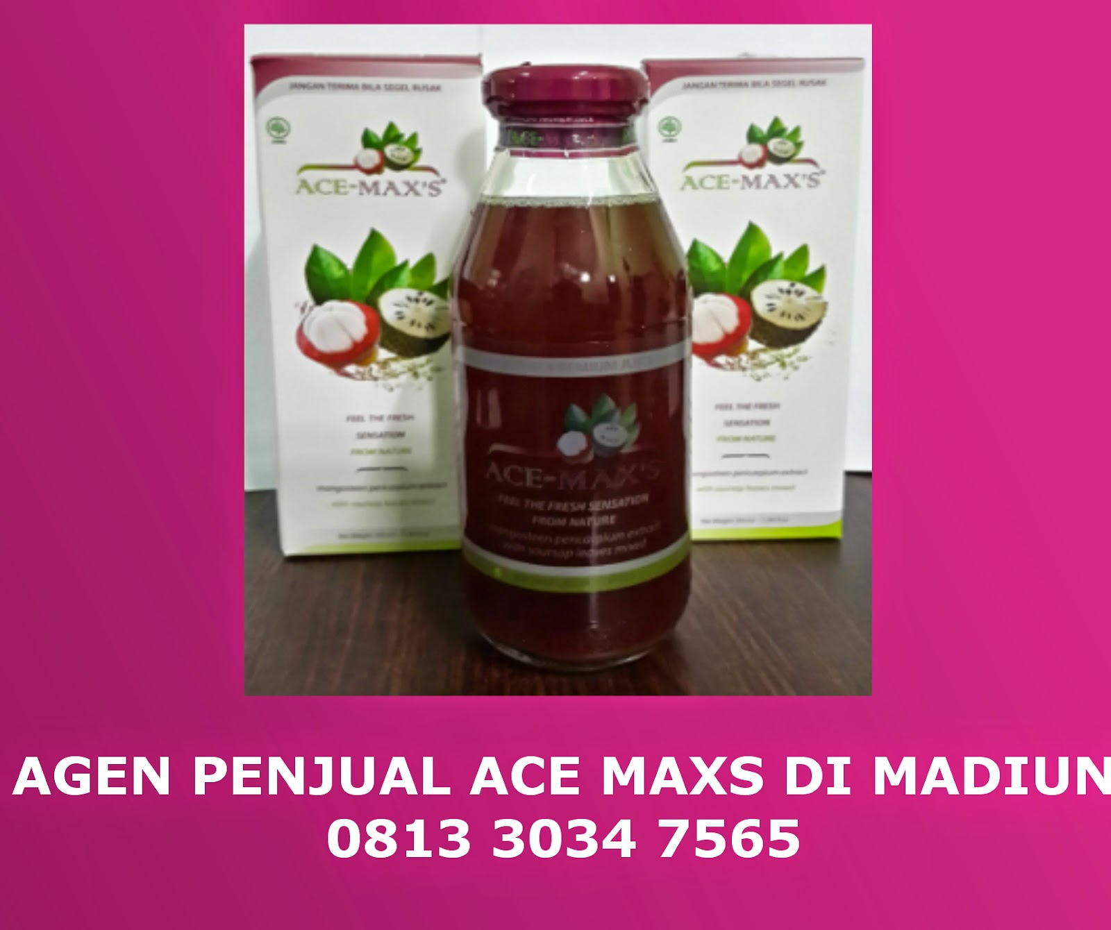 agen Ace Maxs Resmi Caruban
