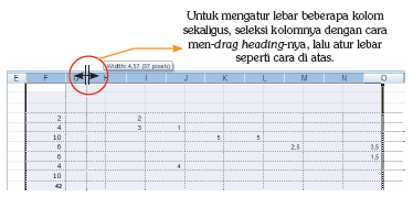 Dasar-Dasar Operasi Kolom dan Baris