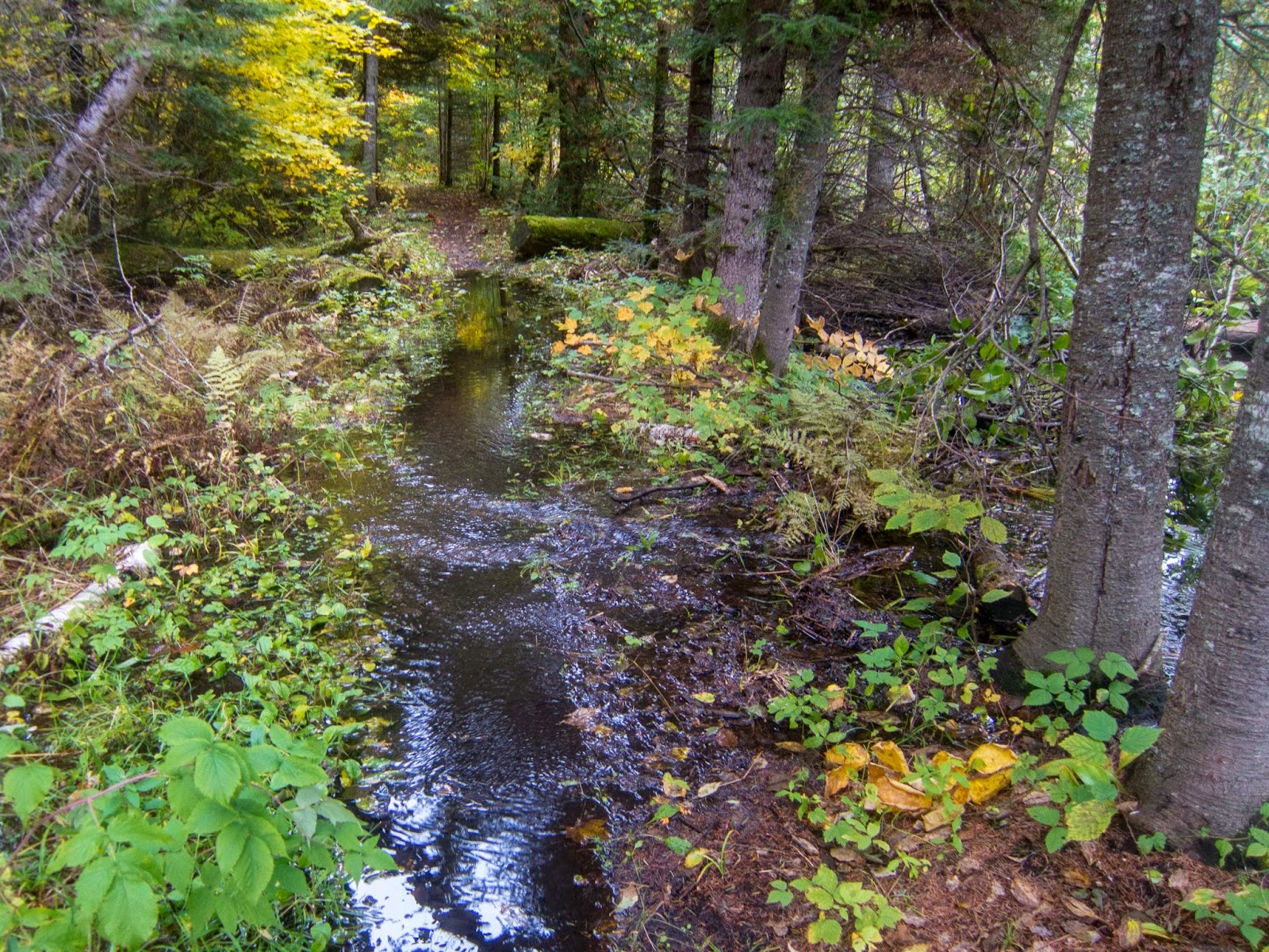 Eric's Hikes: Border Route Trail Thru-hike 2014
