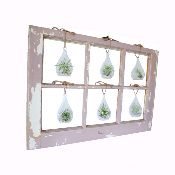 The Fern and Mossery: Roots in Rust Hanging Terrarium Window