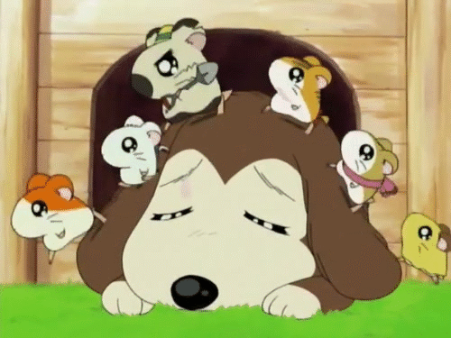 1001 Animes: Kodomo: Hamtaro
