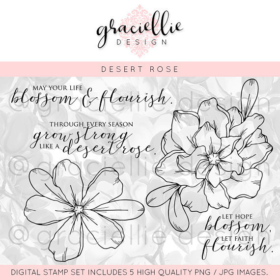 Paperie Expressions: Desert Rose : CAS Card