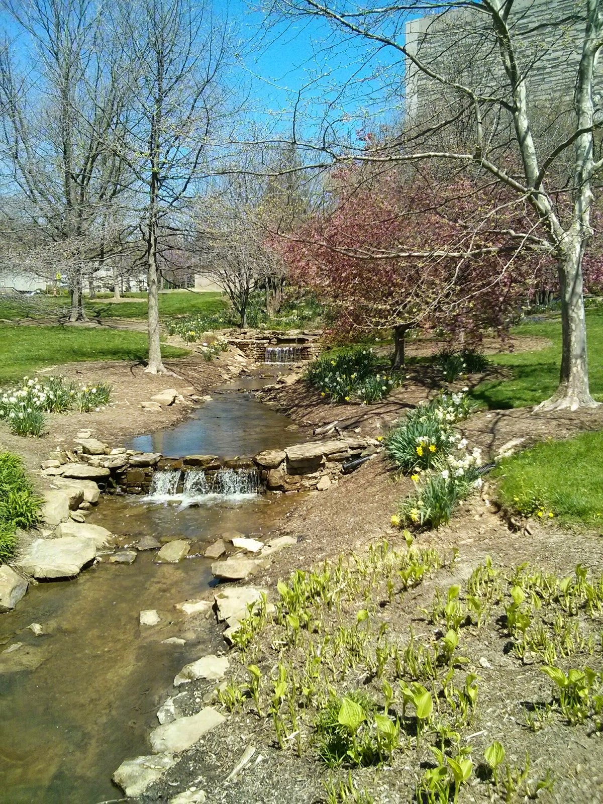 Bloomington, IN: IU Arboretum (Spring) - Explore This City