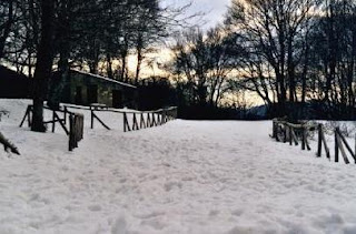 PARCO DEI NEBRODI, UNA PISTA PER GLI APPASSIONATI DI SCI DI FONDO TRA I ...