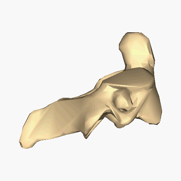 Ossos Esqueleto Axial