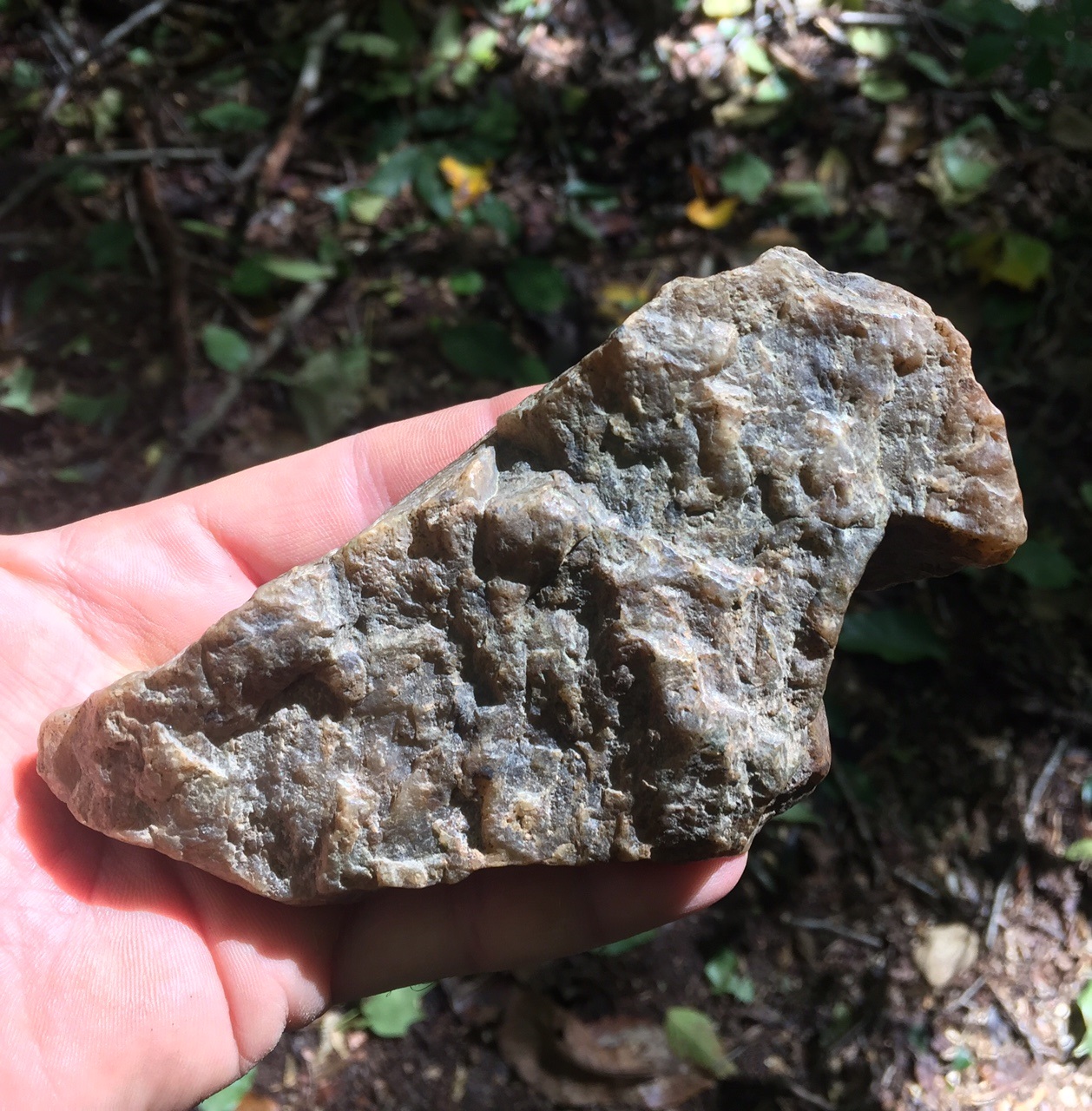 Archaeology of Portable Rock Art: A solid central Virginia Paleolithic ...