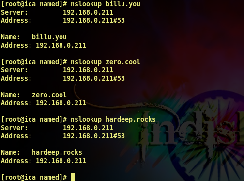 configure DNS server with multiple domains | Start With Linux | Mannu Linux