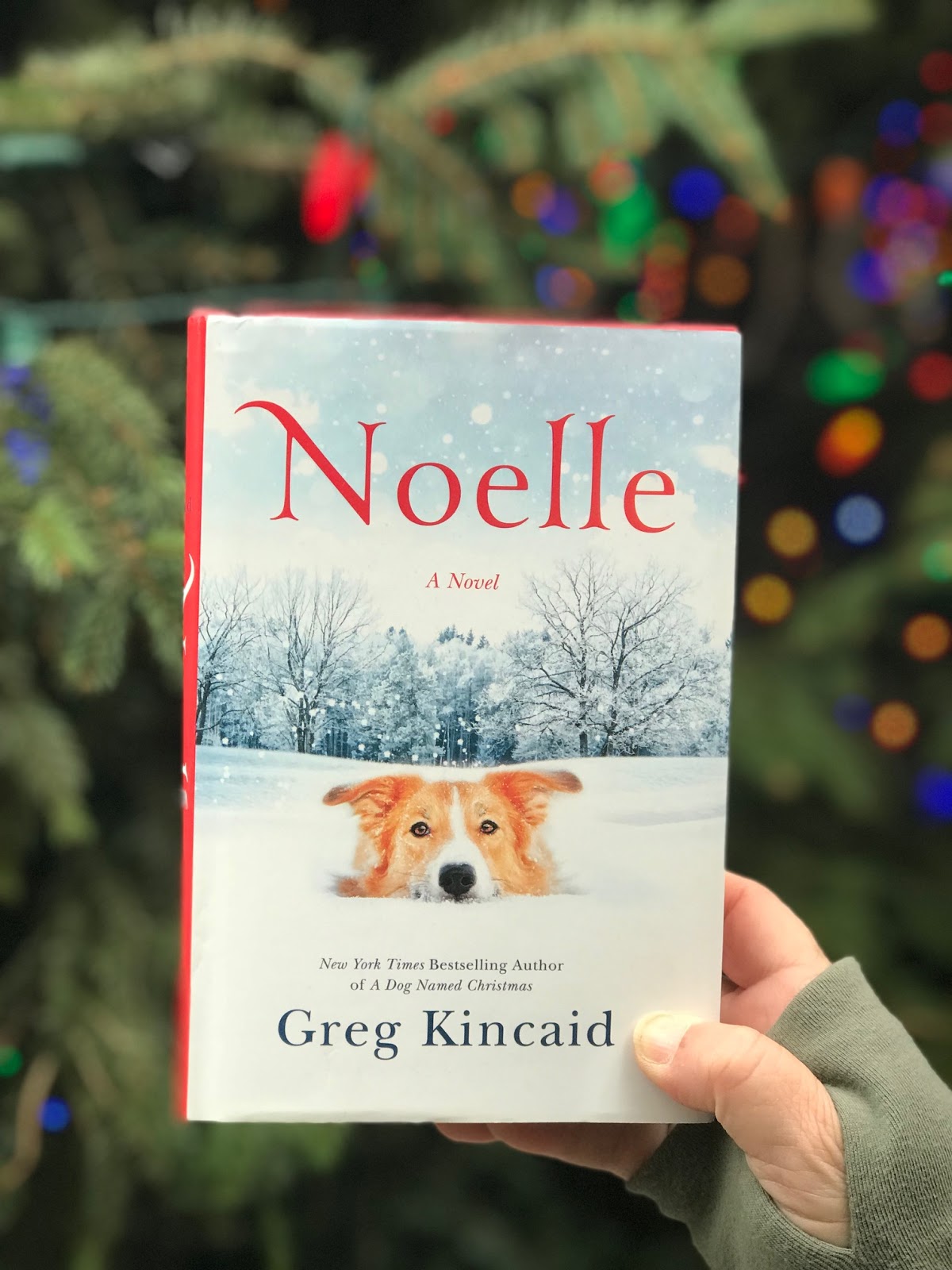 Noelle #ourgoodlifebooklist | Our Good Life