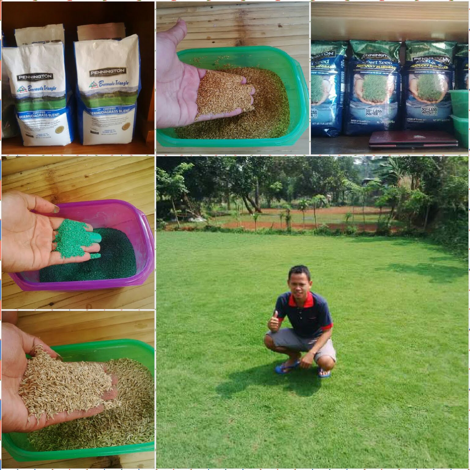 SUPPLIER BIJI RUMPUT / GRASS SEED: SUPPLIER BIJI RUMPUT BERMUDA GRASS ...