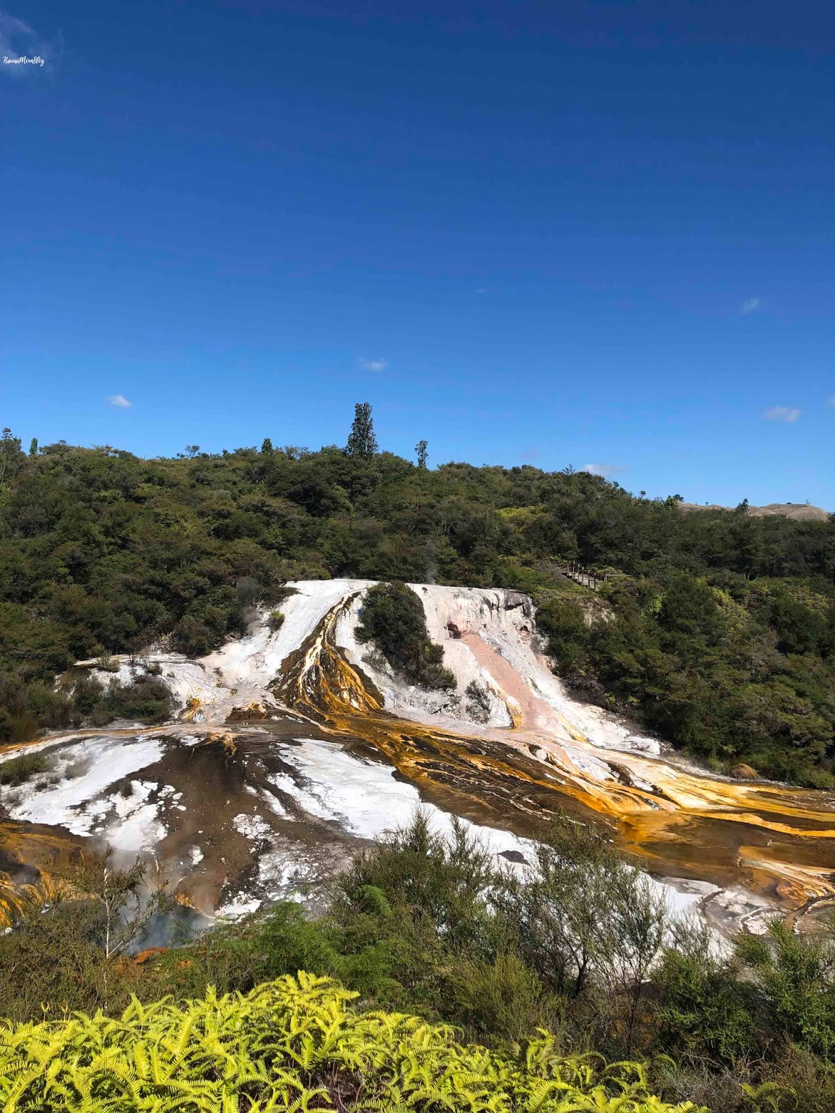 Hawaii Mom Blog: Visit New Zealand: Orakei Korako Geothermal Park
