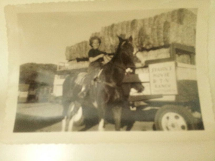 The Tate-LaBianca Homicide Research Blog