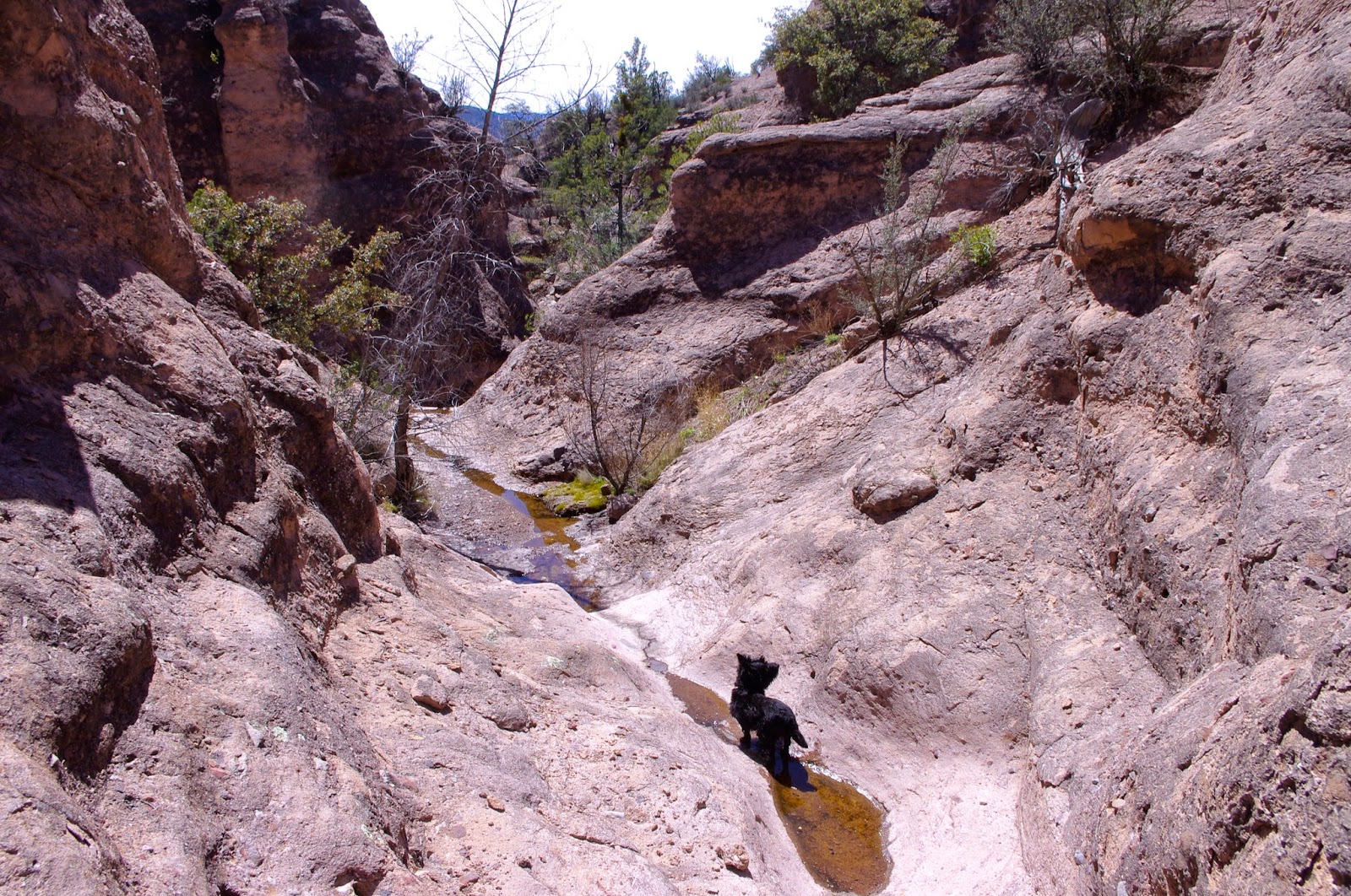 Southern New Mexico Explorer: Gila Wilderness-Lake Roberts Slot Canyons ...