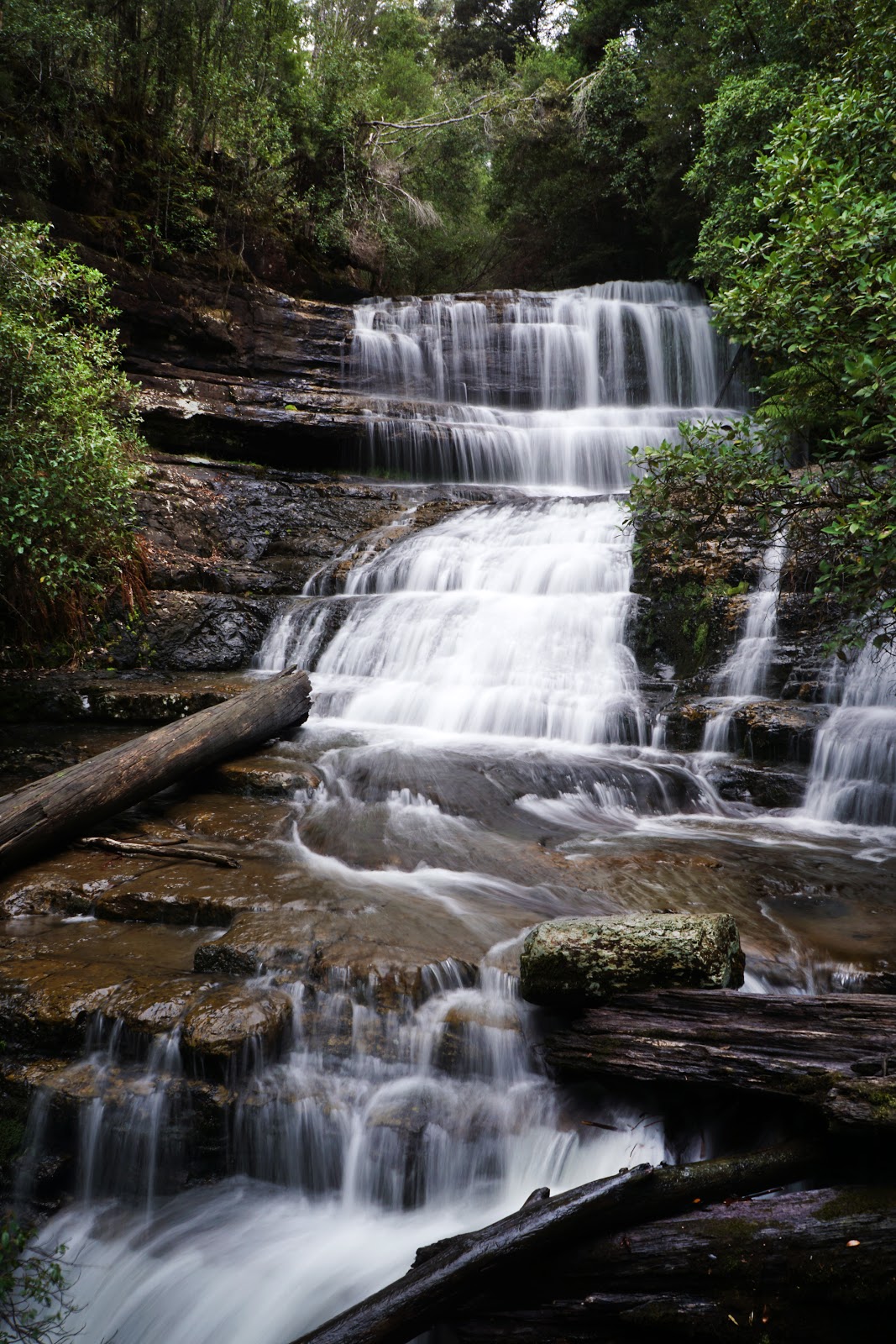 Lady Barron Falls Circuit (Mount Field National Park) ~ The Long Way's ...