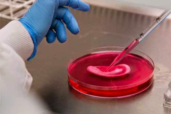 British laboratory organs start preparing - Wow spicy News